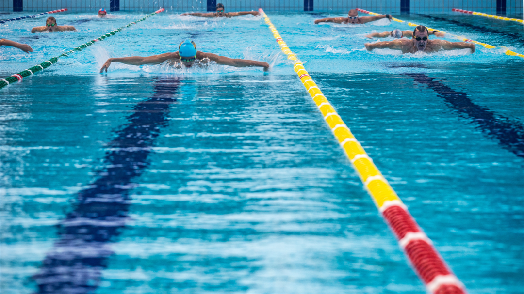 Squad training | Shoalhaven Swim Sport Fitness